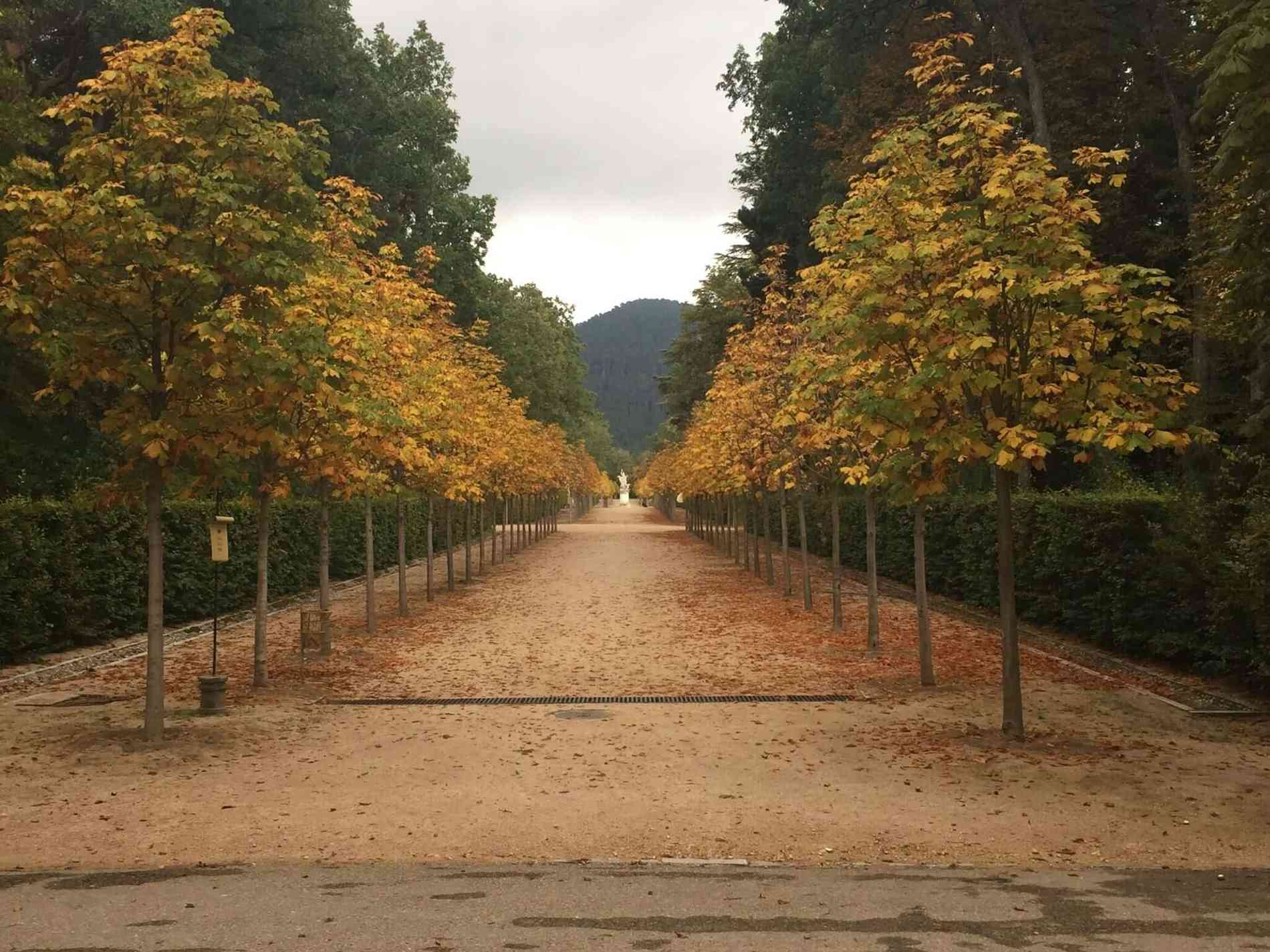 Visual Studio code editor: Eight tips for using GitLab VS Code